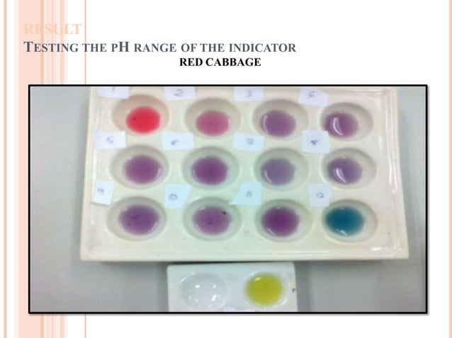 pH indicator experiment | PPTX | Chemistry | Science