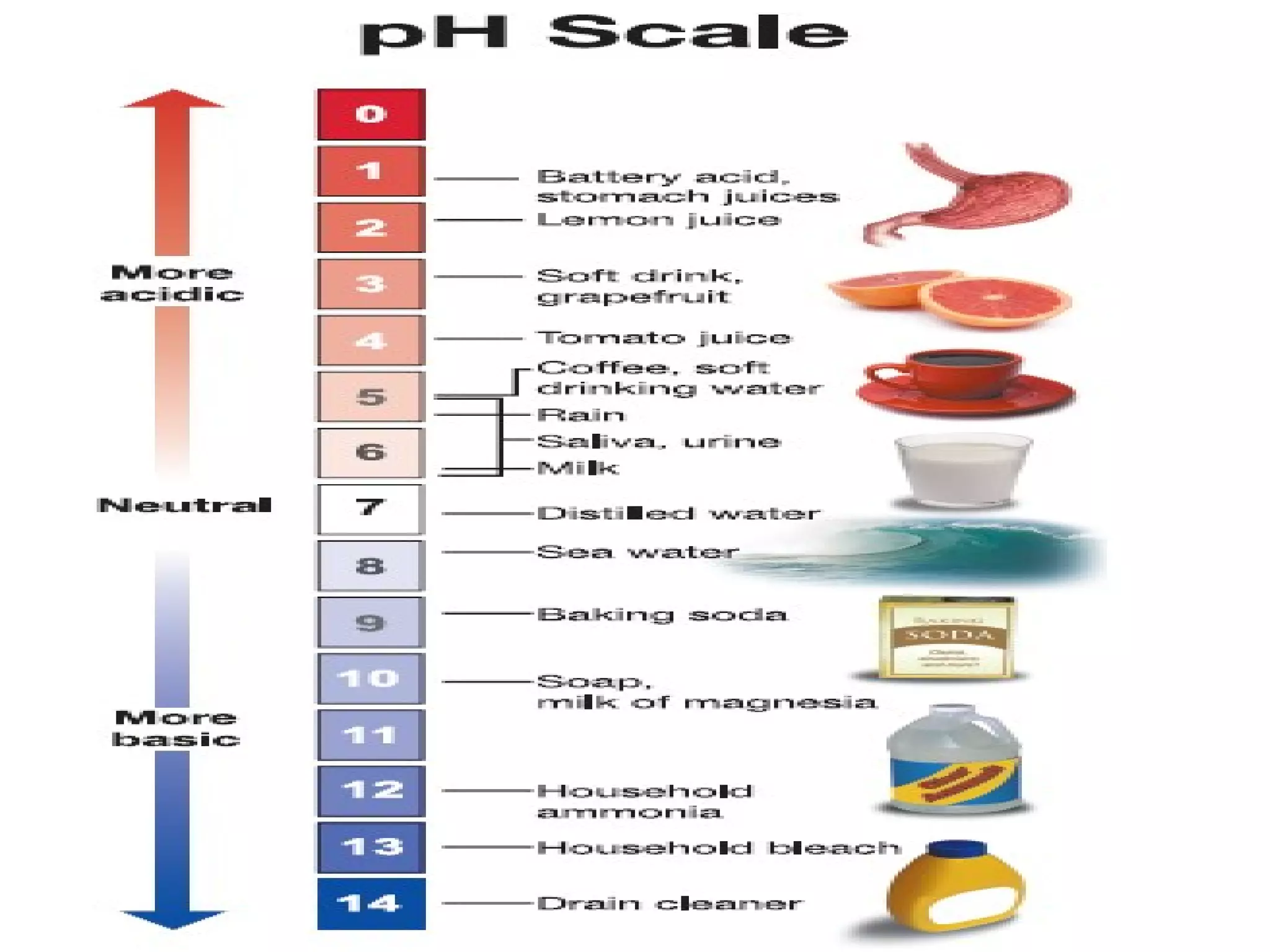 PH in human body | PPT