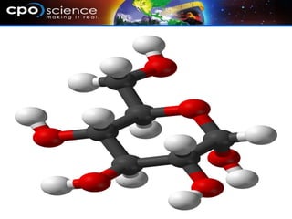 PH in human body | PPT