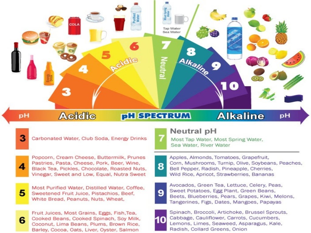 PH in human body