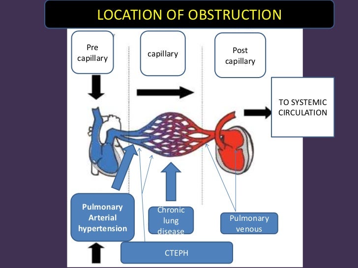 Ph in lhd cteph and copd Ph in lhd cteph and copd