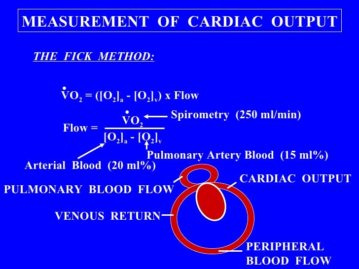 Cardiovascular Physiology