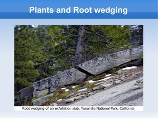 Phisical weatering and chemical weathering | ODP