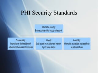 Phi training | PPT