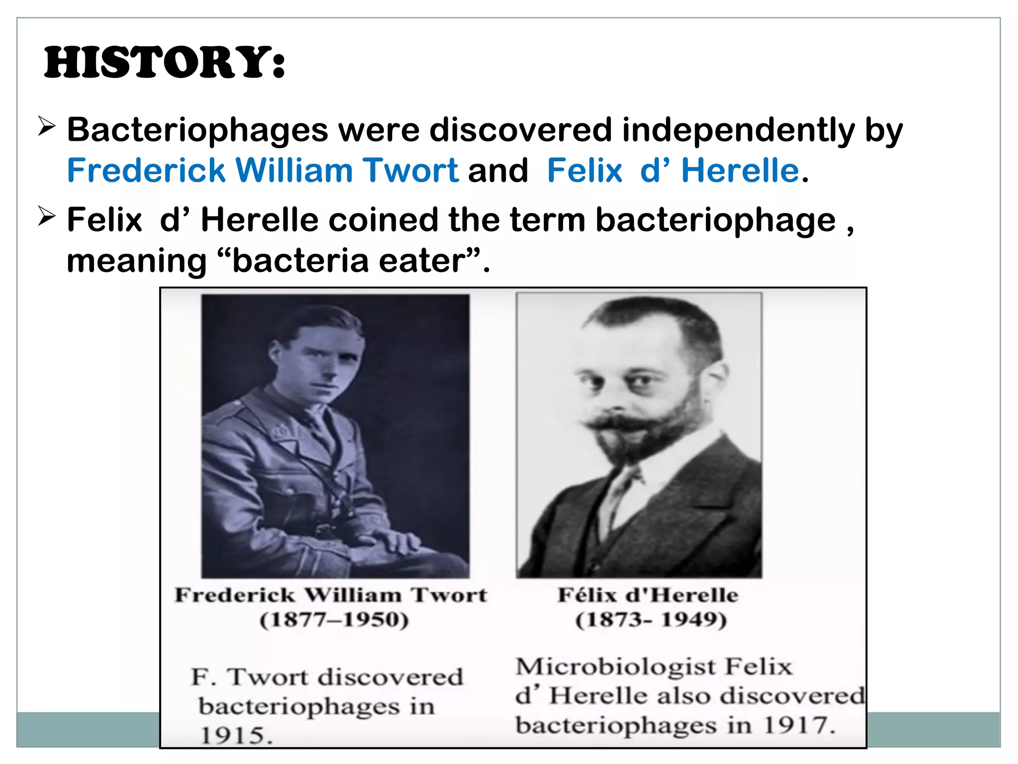 Phi x 174 phage. | PPT