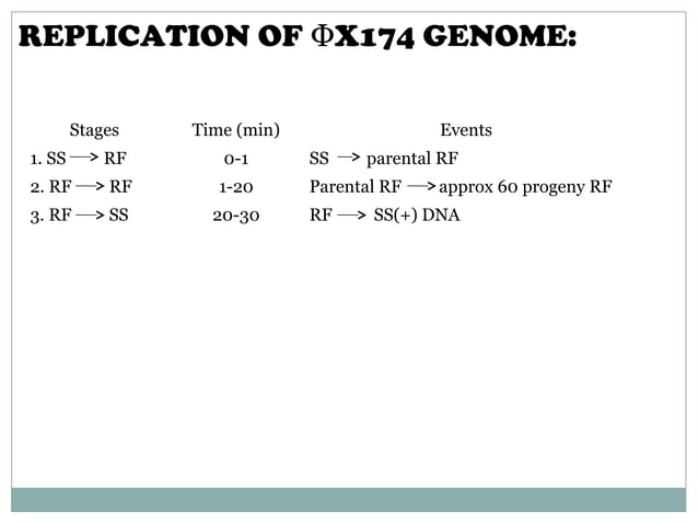 Phi x 174 phage. | PPT | Biological Sciences | Science