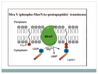 Phi x 174 phage. | PPT