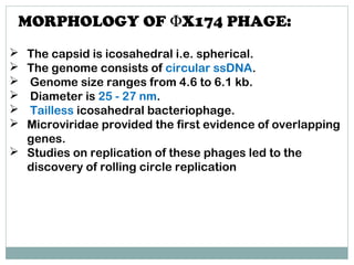 Phi x 174 phage. | PPT