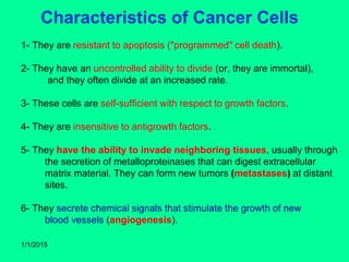 phl_425_cancer_oncogem_and_tumour_suppressor_genes.ppt