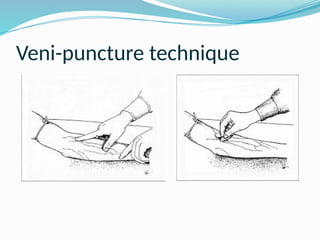 Blood Collection via different techniques | PPTX