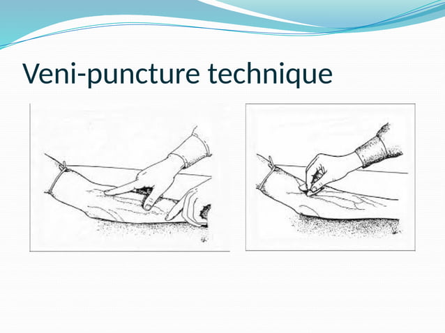 Blood Collection via different techniques | PPTX