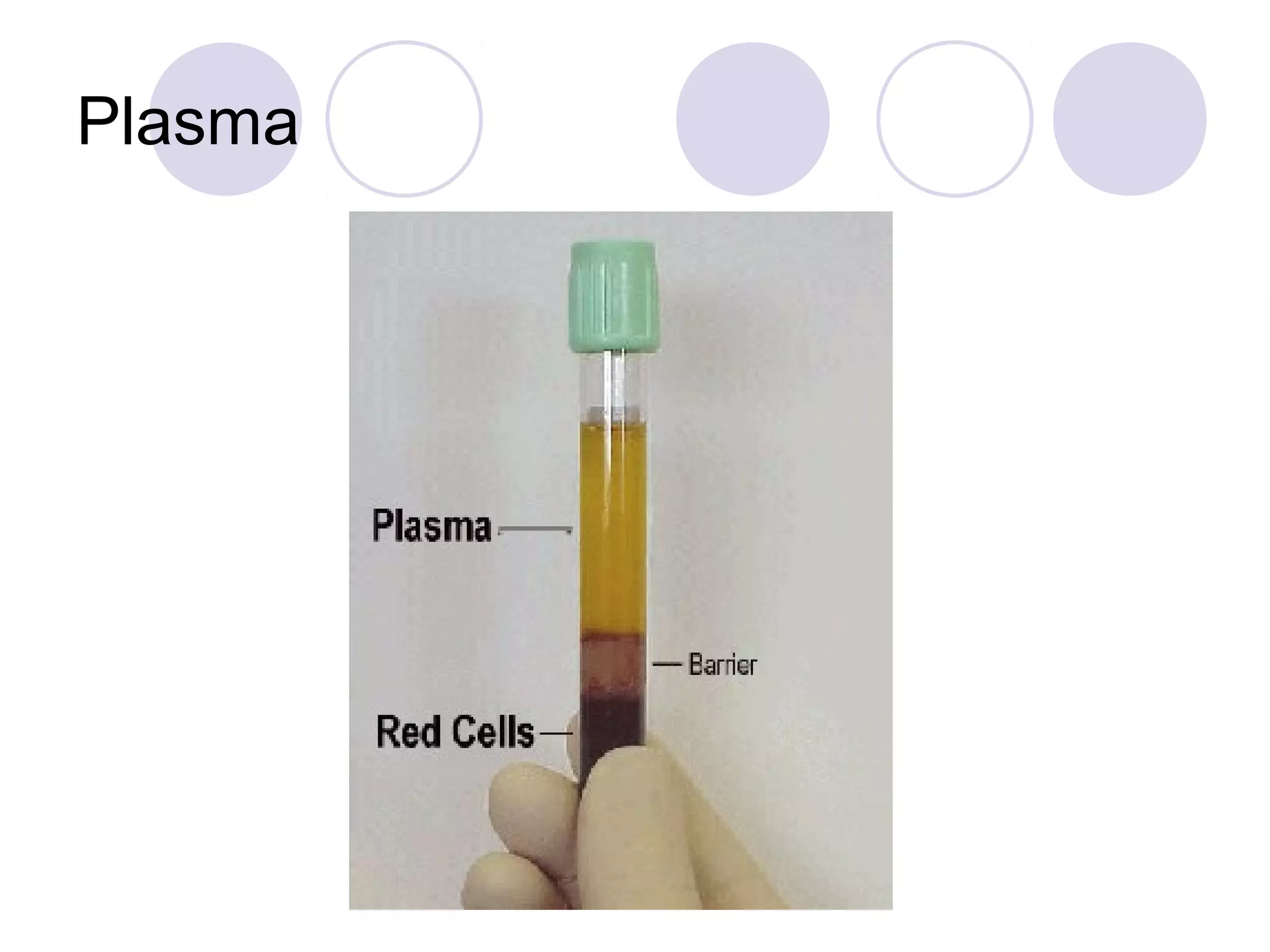 Phlebotomy | PPT