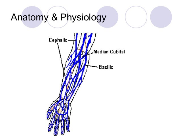 Phlebotomy