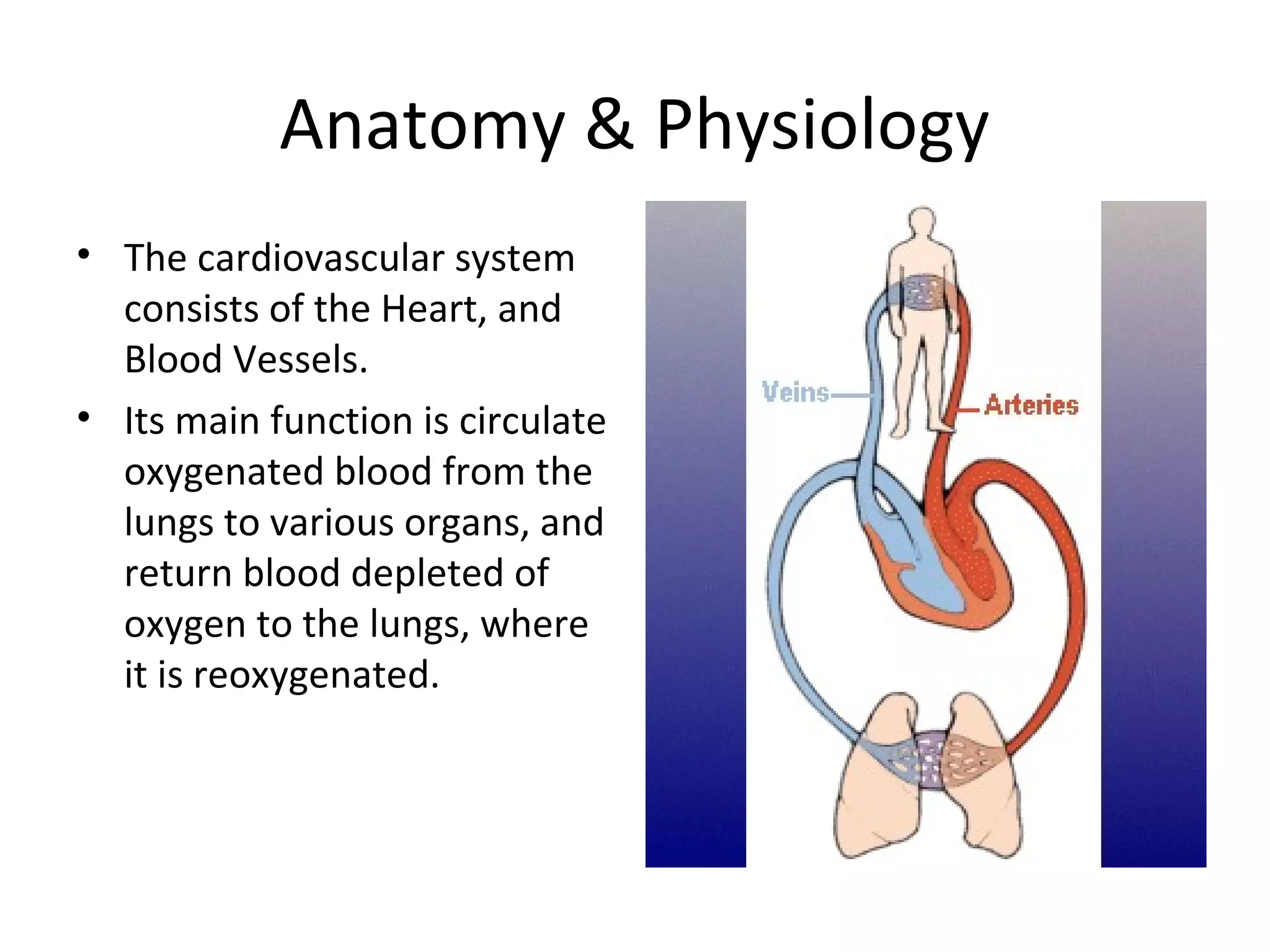 Phlebotomy | PPT