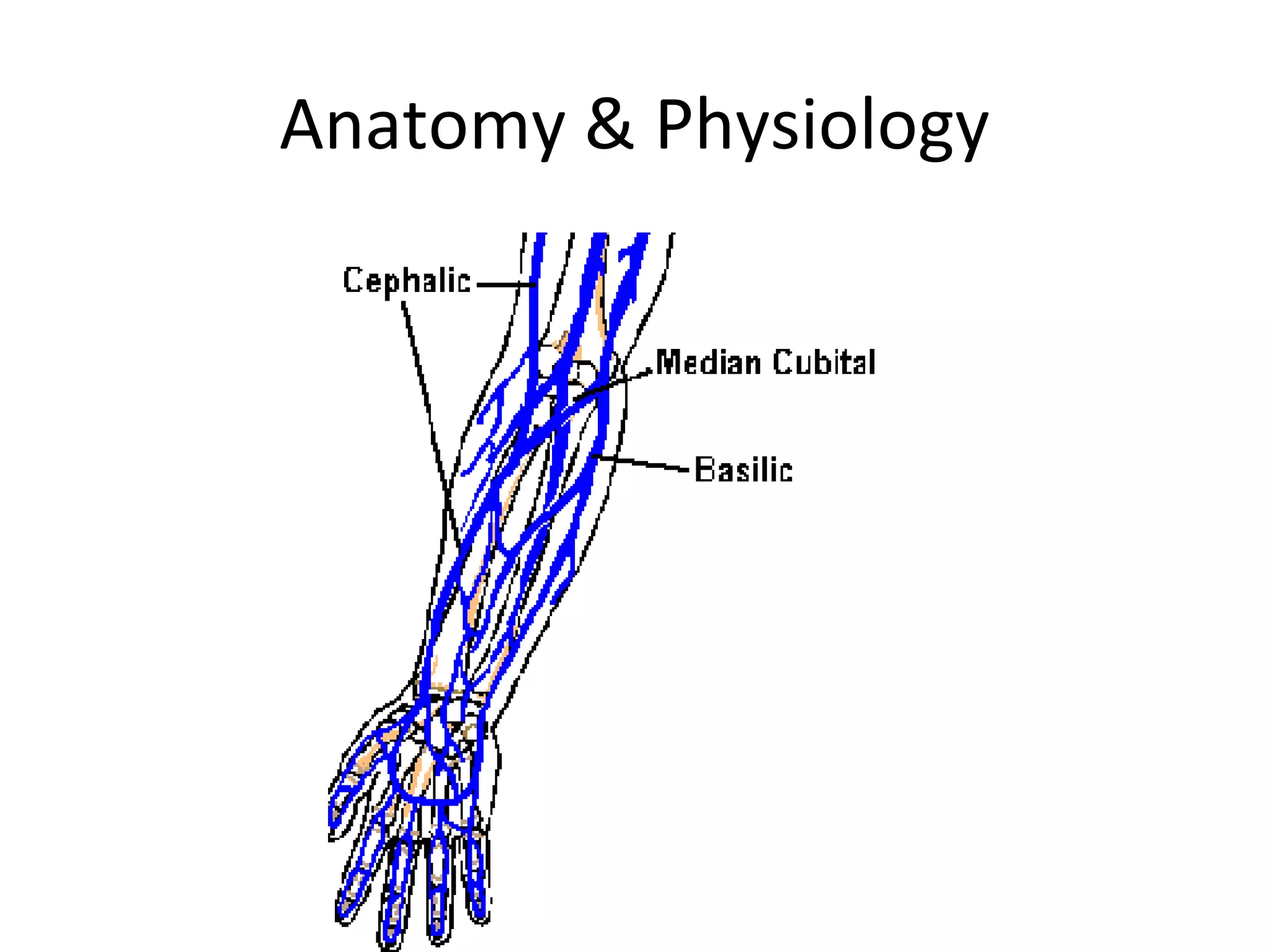 Phlebotomy | PPT