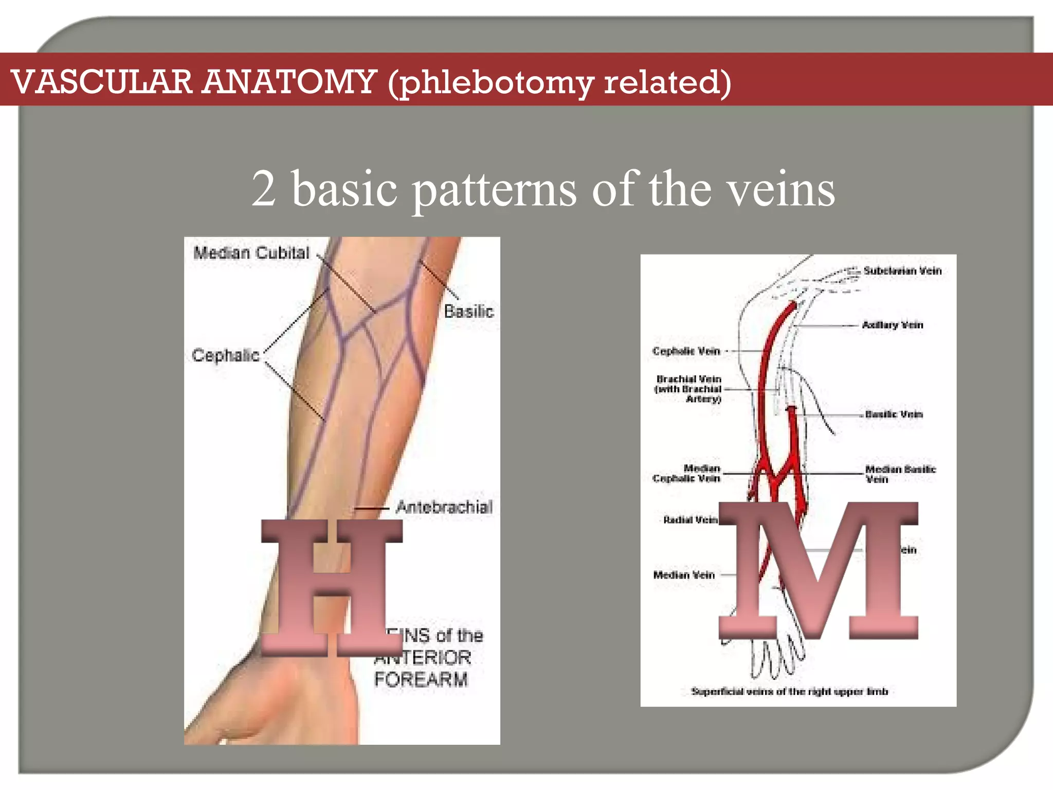 Phlebotomy quality lec 3 | PPT