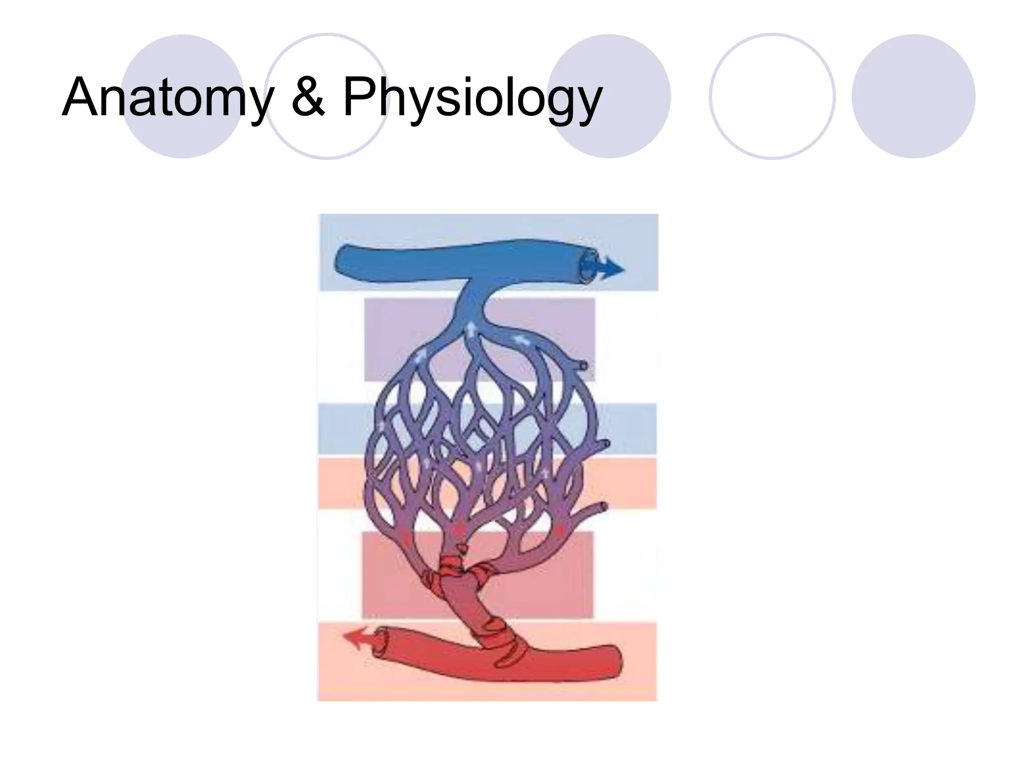 Definition of Phlebotomy and its significance in medical sciences | PPT