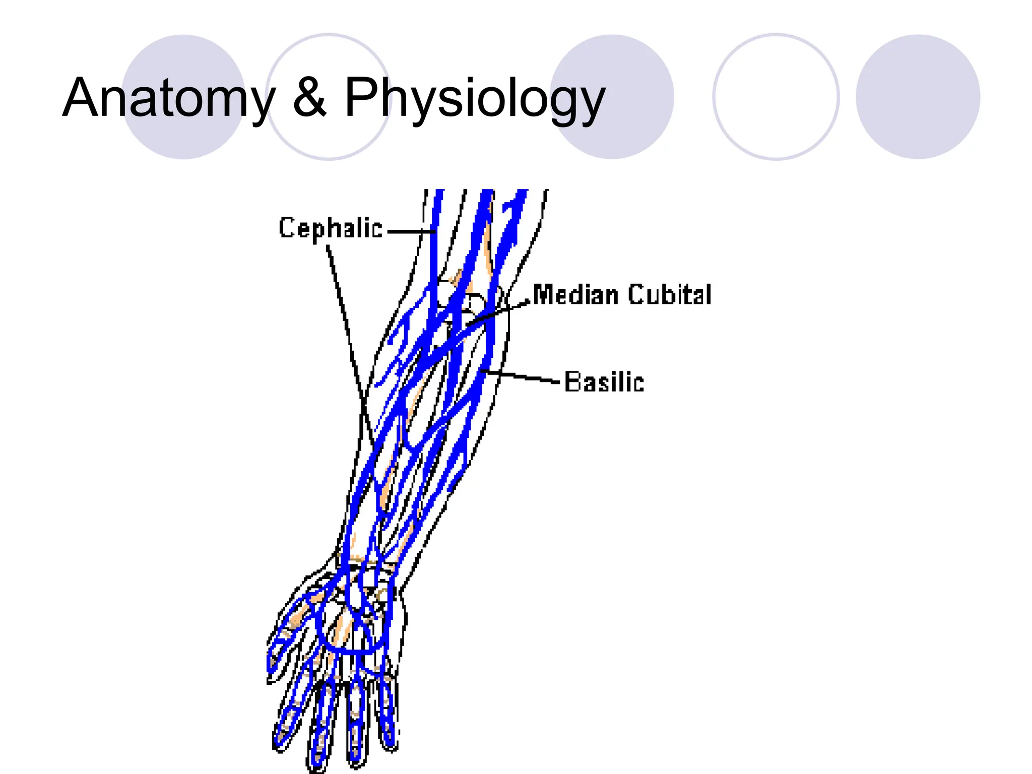 Definition of Phlebotomy and its significance in medical sciences | PPT