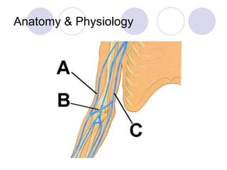 Phlebotomy (1) definition and Types and classification | PPT