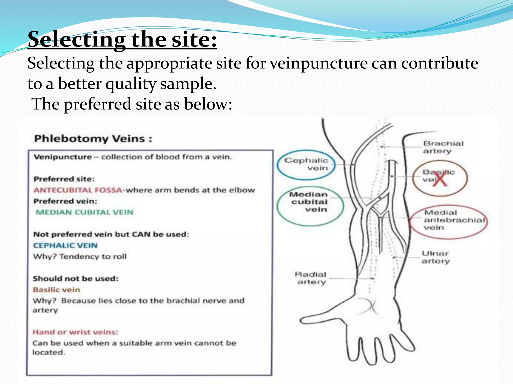 Phlebotomy and Pre-analytical error ppt.pptx