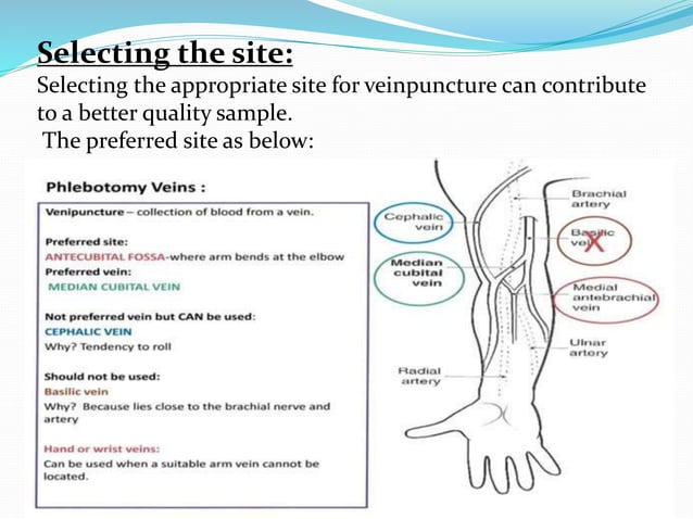 Phlebotomy and Pre-analytical error ppt.pptx