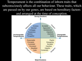 Phlegmatic Spouse | PDF
