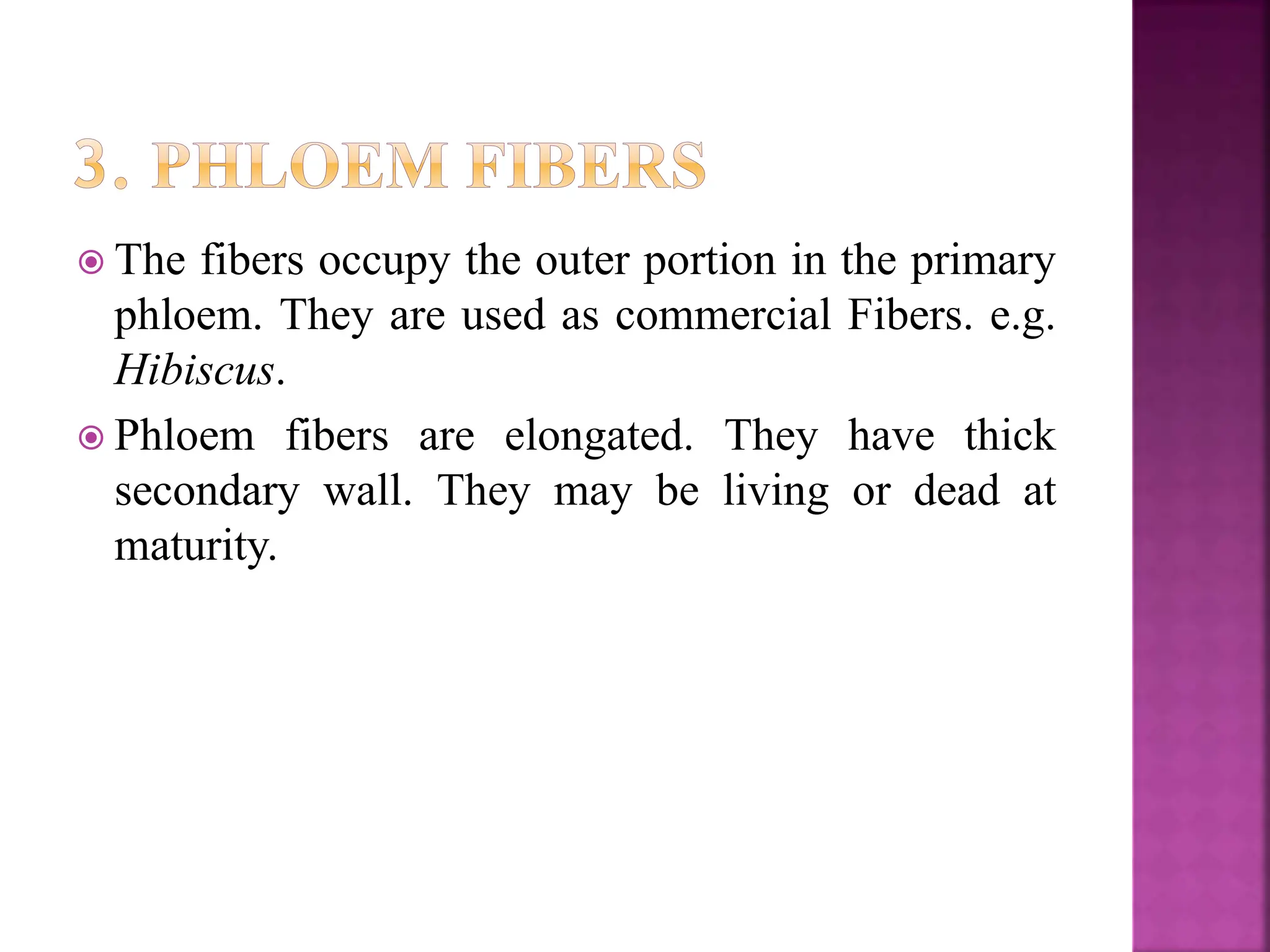 Basic information about phloem structure.pptx