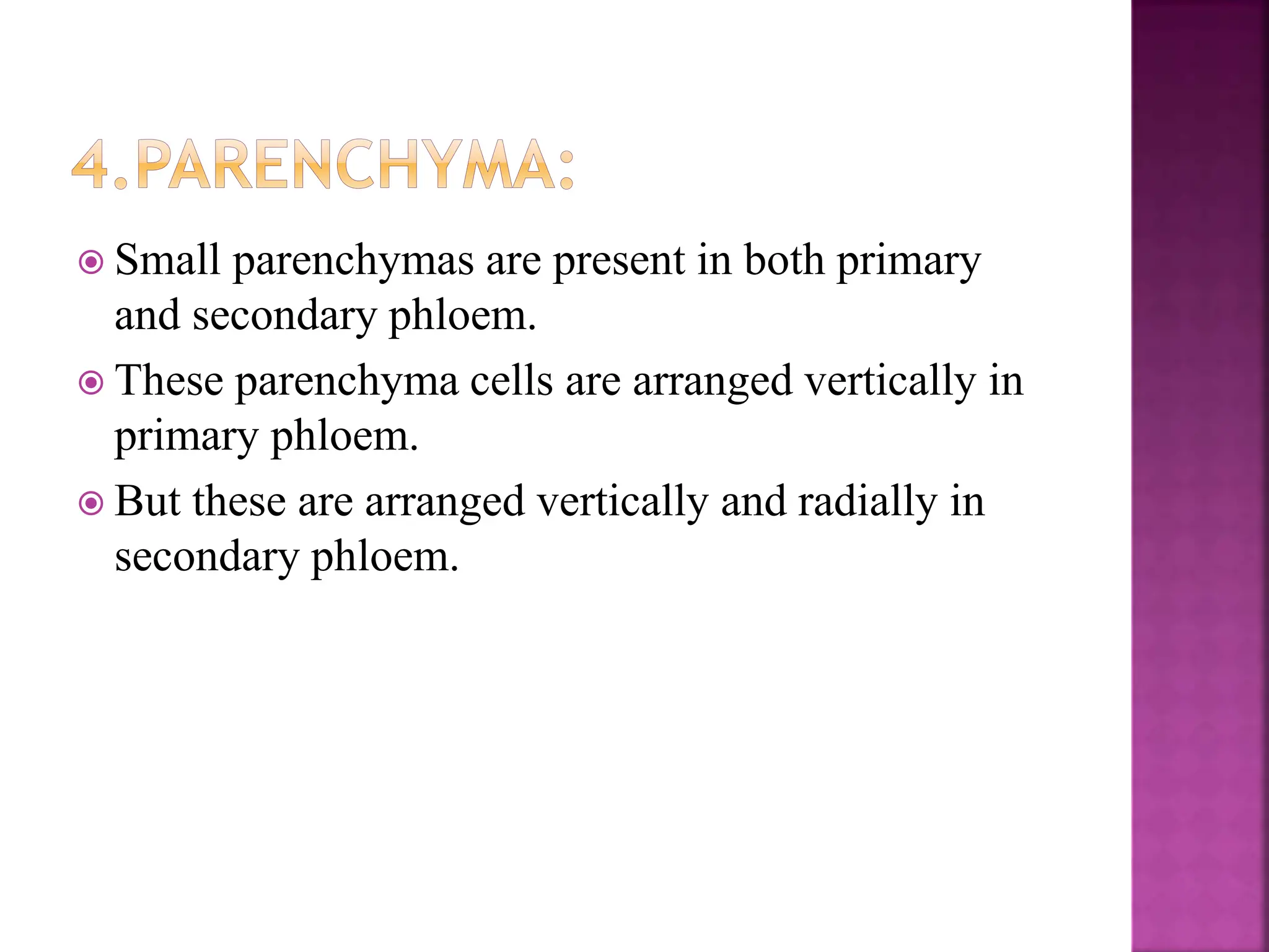 Basic information about phloem structure.pptx