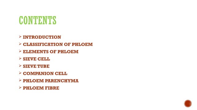 Phloem Tissue, CLassification and its Composition.pptx