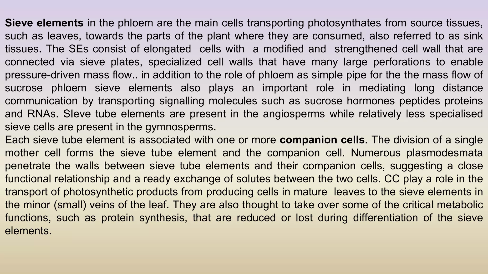 Phloem diffrentiation | PPTX
