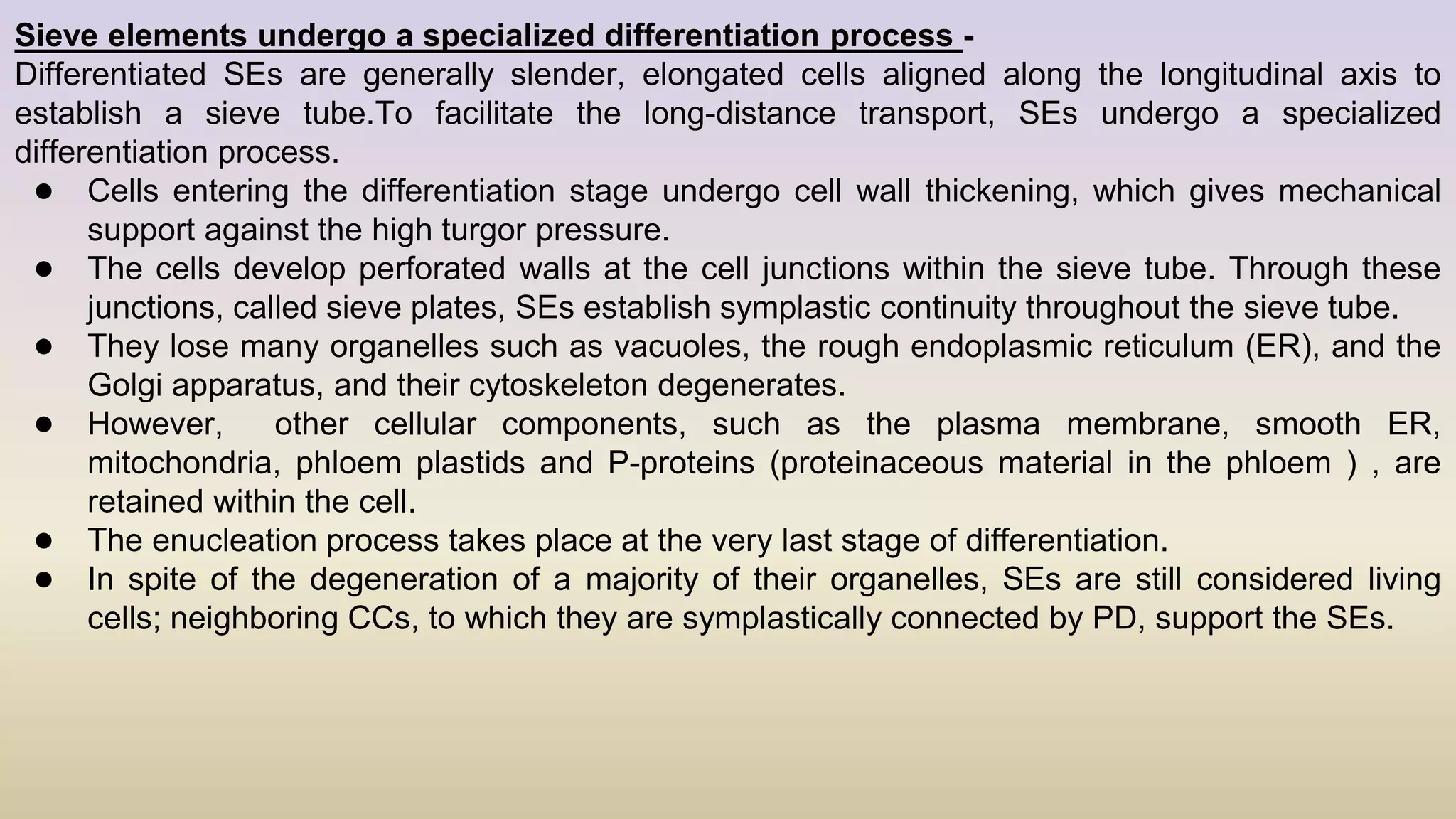 Phloem diffrentiation | PPTX