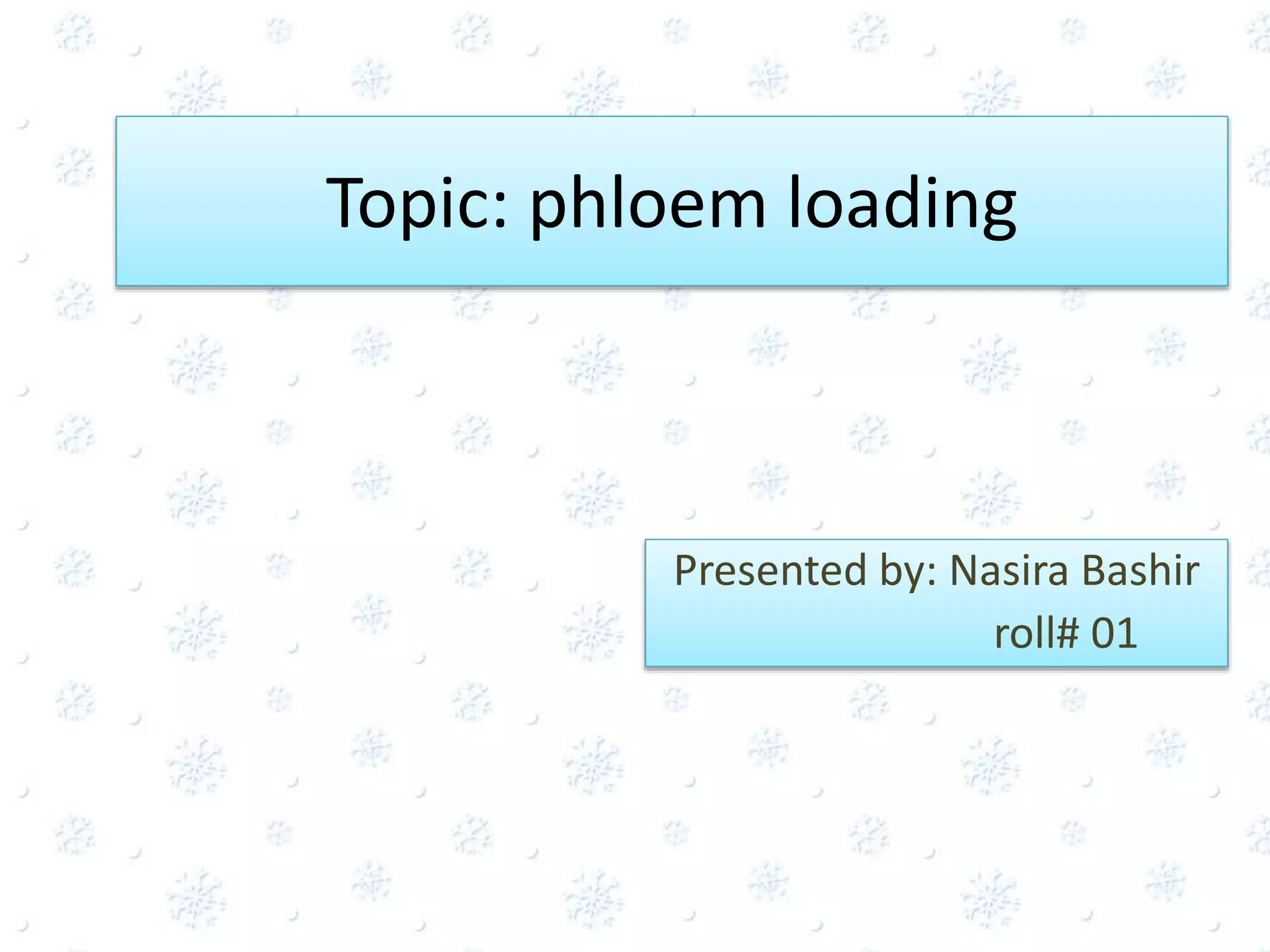 Phloem loading | PPTX