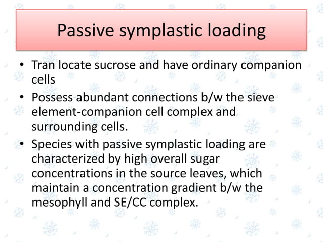 Phloem loading | PPTX | Biological Sciences | Science