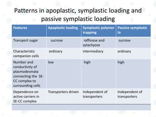 Phloem loading | PPTX