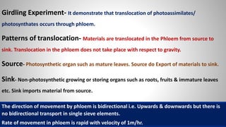 Phloem loading ( Food Transported) | PPTX