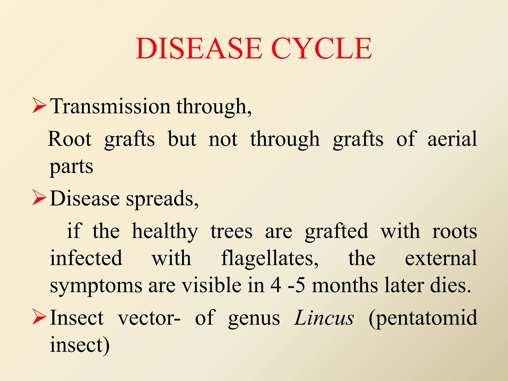 PHLOEM NECROSIS OF COFFEE PLANTDISEASE.pptx