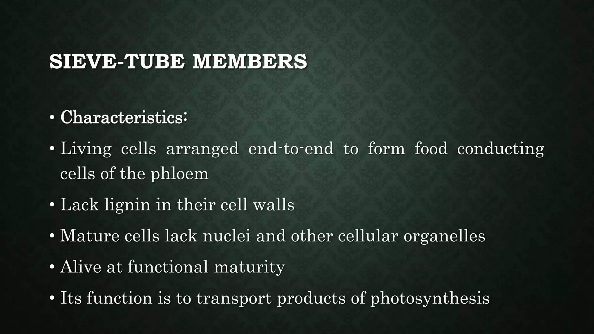 Phloem plant physiology by sohail | PPTX