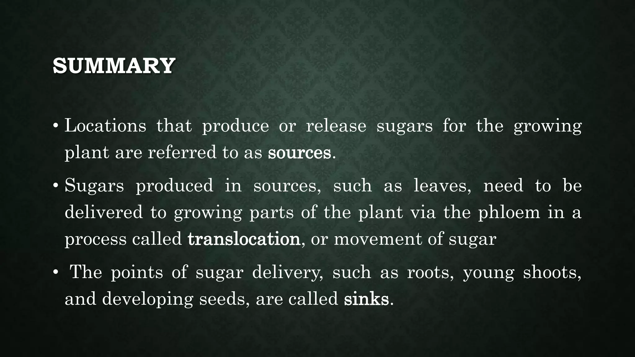 Phloem plant physiology by sohail | PPTX