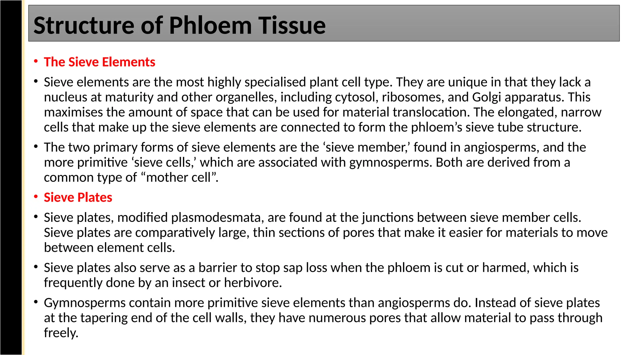 Phloem Tissue and types of cell found in phloem.pptx