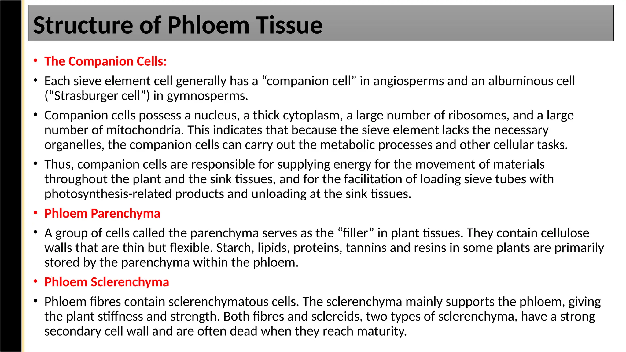 Phloem Tissue and types of cell found in phloem.pptx