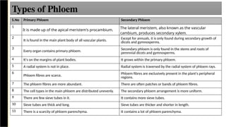 Phloem Tissue and types of cell found in phloem.pptx
