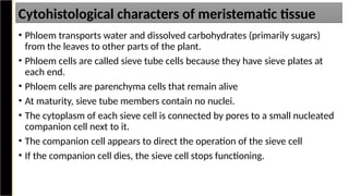 Phloem Tissue and types of cell found in phloem.pptx