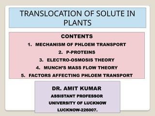 Translocation of Solute in Plants or PHLOEM TRANSPORT.pptx