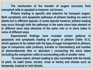 Translocation of Solute in Plants or PHLOEM TRANSPORT.pptx