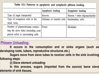 Translocation of Solute in Plants or PHLOEM TRANSPORT.pptx