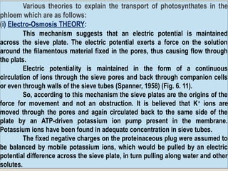 Translocation of Solute in Plants or PHLOEM TRANSPORT.pptx