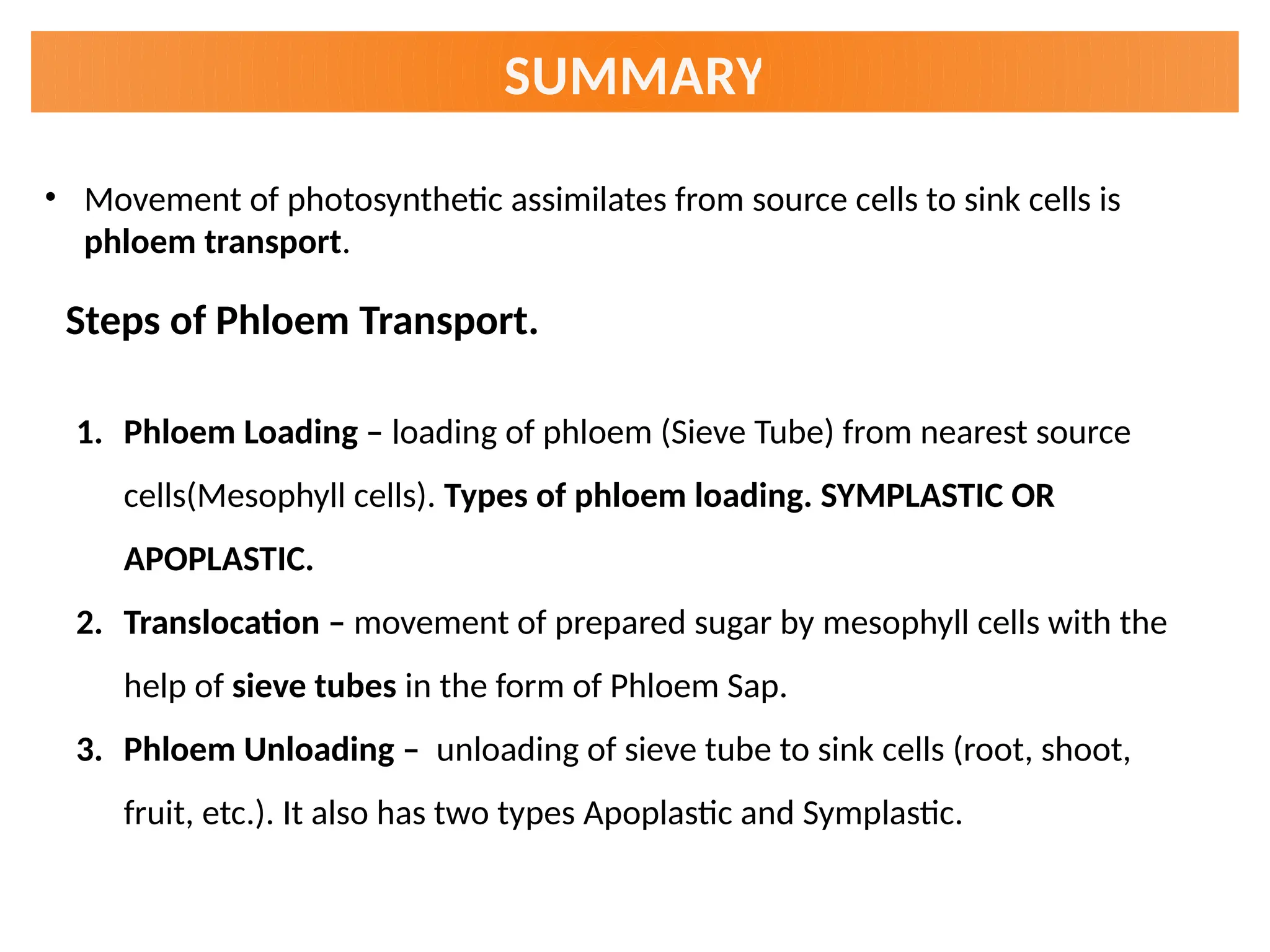 PHLOEM TRANSPORT IN PLANTS (BOTANY).pptx