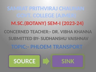 PHLOEM TRANSPORT IN PLANTS (BOTANY).pptx