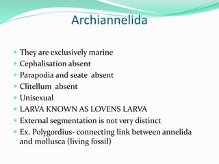 Phlum annelida | PPTX