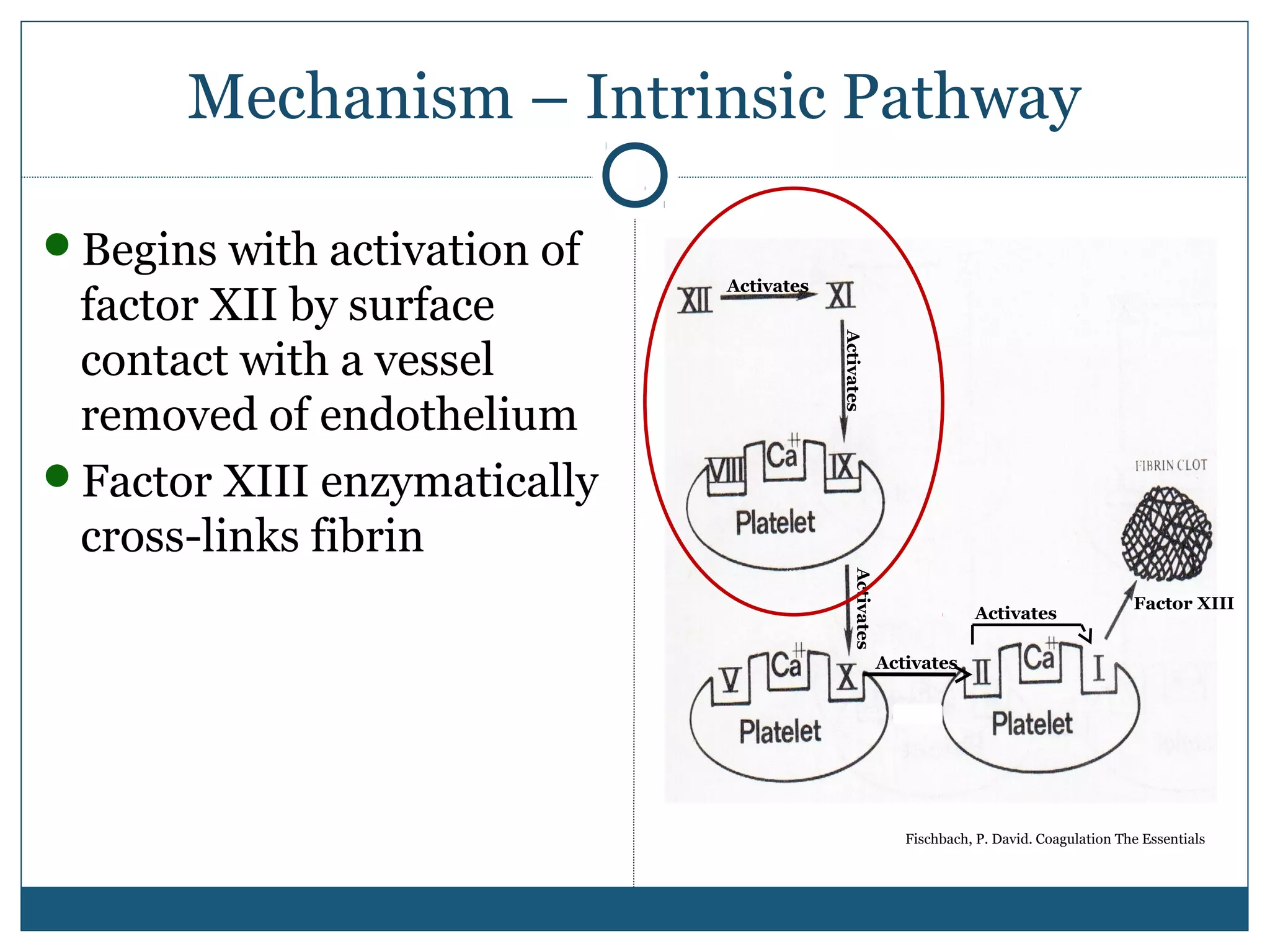 VITAMIN K, [MEDICINAL CHEMISTRY] BY P.RAVISANKAR,STRUCTURES OF VITAMIN ...